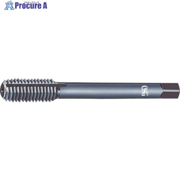 ●精度：RH4●精度表記：STD●呼び寸法：M2.6●ピッチ(mm)：0.45●ねじ長さ(mm)：14●全長(mm)：44●シャンク径(mm)：3●シャンク四角部(mm)：2.5●食い付山数：2山●加工ねじ：メートルねじ●表面処理：窒化処理