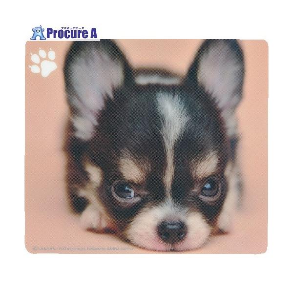 ※個人宅様送り不可 ●幅(mm)：170●奥行(mm)：150●高さ(mm)：0.6