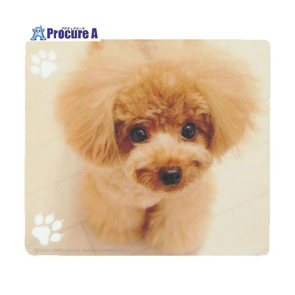 ※個人宅様送り不可 ●幅(mm)：170●奥行(mm)：150●高さ(mm)：0.6