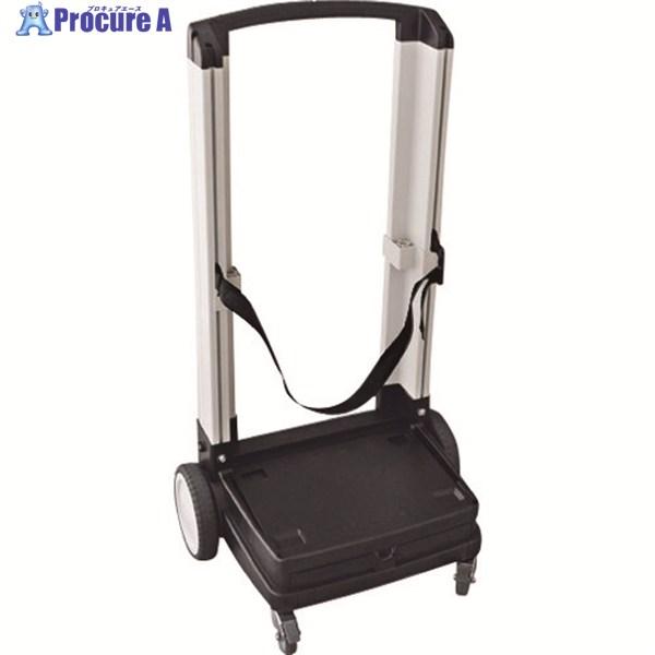 ●色：シルバー/ブラック●外形寸法(mm)間口：600●外形寸法(mm)奥行：440●外形寸法(mm)高さ：1100●耐荷重(kg)：100