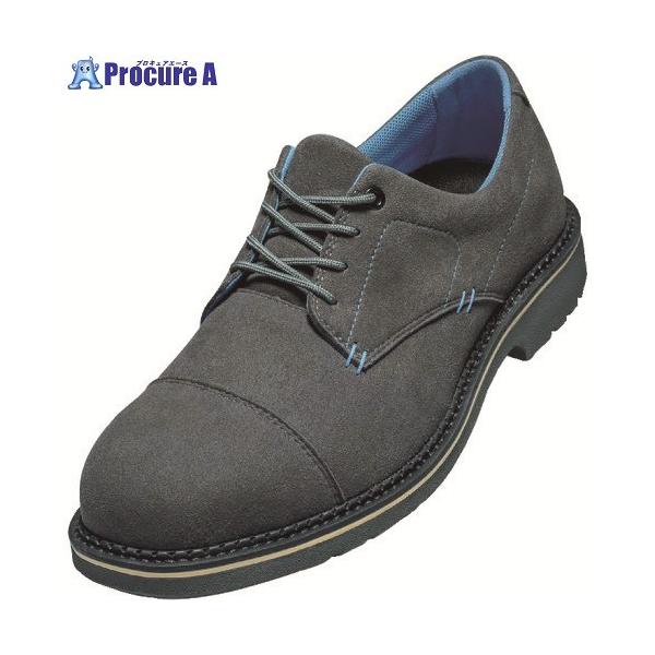 ●寸法(cm)：27.5●色：グレー●規格：EN ISO 20345: 2011 S2 SRC●耐圧迫荷重(kN)：15●EU(ヨーロッパ)規格サイズ：43●耐圧迫荷重(kN)：15