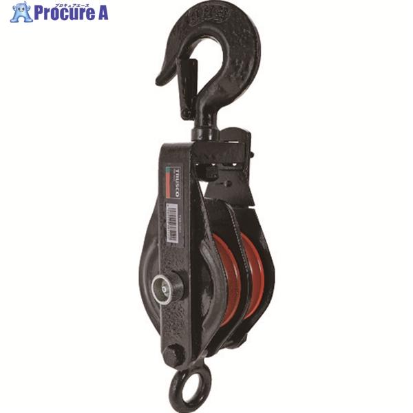 ●基本使用荷重(t)：0.5●最大使用ロープ径(mm)：10●車数：2●車径(mm)：75●寸法(mm)A：300●寸法(mm)B：87●寸法(mm)C：65●頭部形状：フック型●使用荷重(kN)：5●タイプ：二車タイプ●シーブ軸受：砲金（...