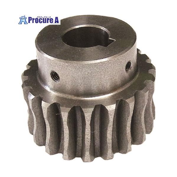 【送料都度見積】●モジュール：2.5●穴径(mm)：φ15●形状：HBK●キー溝：5×2.3●タップ：M4●タップ位置：7●基準円直径d(mm)：125