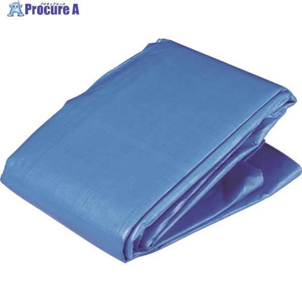 ●幅(m)：1.71●長さ(m)：2.61●厚さ(mm)：0.25●番手(#)：3000●ハトメ数(個)：10●ハトメピッチ(cm)：90●耐久期間：約1年●引張強度：縦665N/5cm、横575N/5cm●色：ブルー