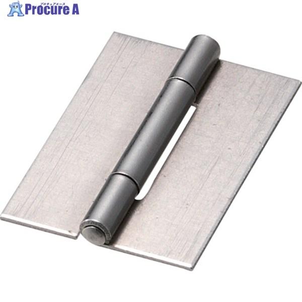 ●全長(mm)：31.5●幅(mm)：22.0●厚さ(mm)：0.8●耐荷重(kg)2個使用時：1●取付方法：溶接タイプ●表面処理：生地仕上げ●軸径(mm)D2：3.8