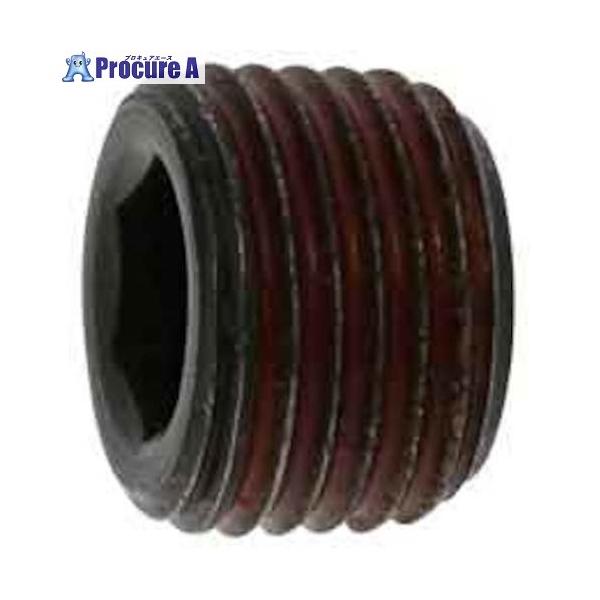 【送料都度見積】●寸法(mm)d：1/2●寸法(mm)L：0●ねじ径(mm)：1/2