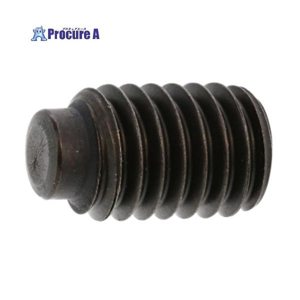 【送料都度見積】●寸法(mm)d：5/16●寸法(mm)L：5/8●ねじ径(mm)：5/16●ねじ長さ(mm)：5/8