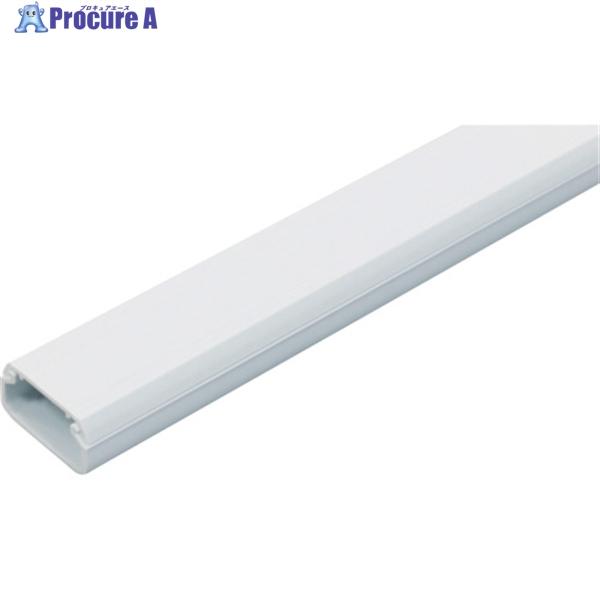 ●色：ホワイト●適合ケーブル：VVF1.6×2C×2条●幅(mm)：22.0●長さ(m)：1●長さ(mm)：1000.0●厚さ(mm)：12.0●サイズ(mm)W：0●サイズ(mm)H：0●サイズ(mm)L：1000.0●内寸(mm)：19.8