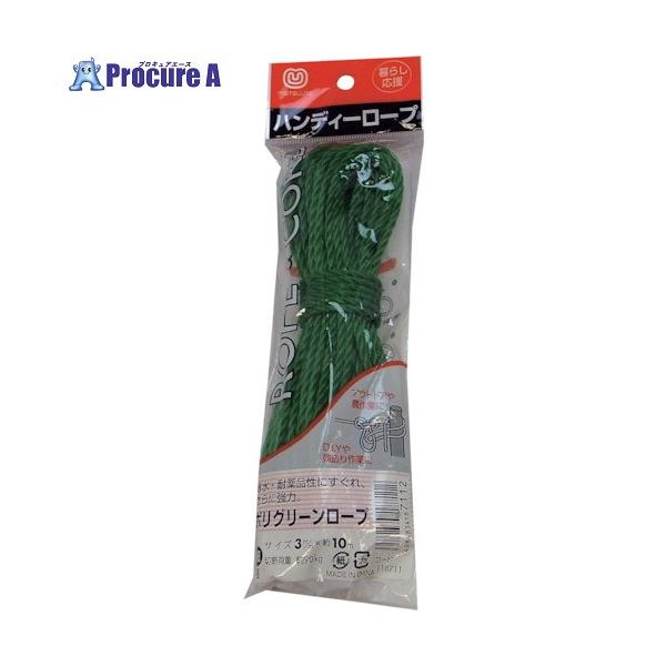 【送料都度見積】●色：緑●長さ(m)：10●切断荷重(kgf)：約90●太さ(mmφ)：3●仕様：10mカット品●ロープ仕様：3打ち