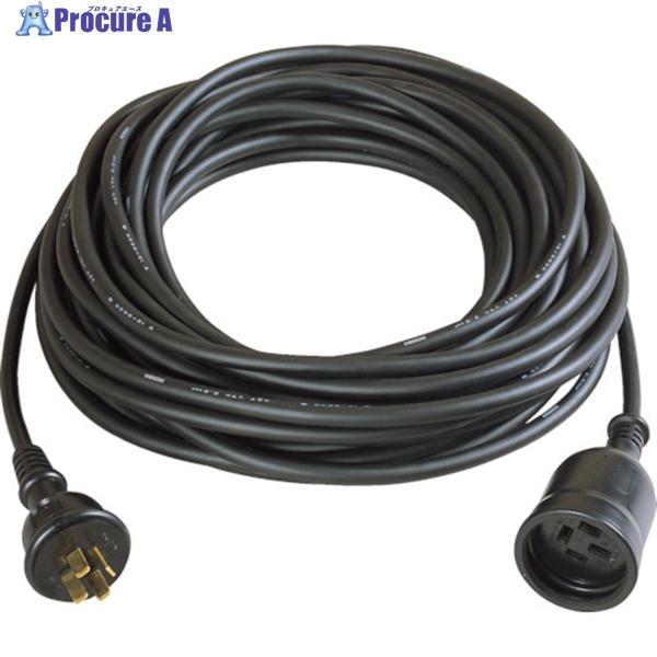 ●電線仕様長さ(m)：10●電線仕様太さ(［［ＭＭ２］］)：2.0●電線仕様芯数(C)：4●コンセント仕様定格：3P・19A・250V アース付●コンセント仕様形状：［［四相１］］●コンセント仕様個数：1●電線種：SVCT●色：ブラック●アース