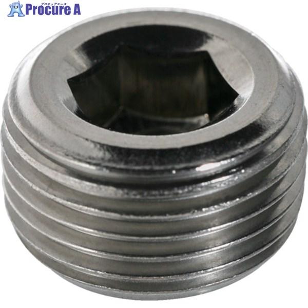 ●呼び寸法：PT1/2●二面幅B(mm)：10●六角穴深さ(mm)：6●長さt(mm)：12.5±0.4●m(mm)：6.0