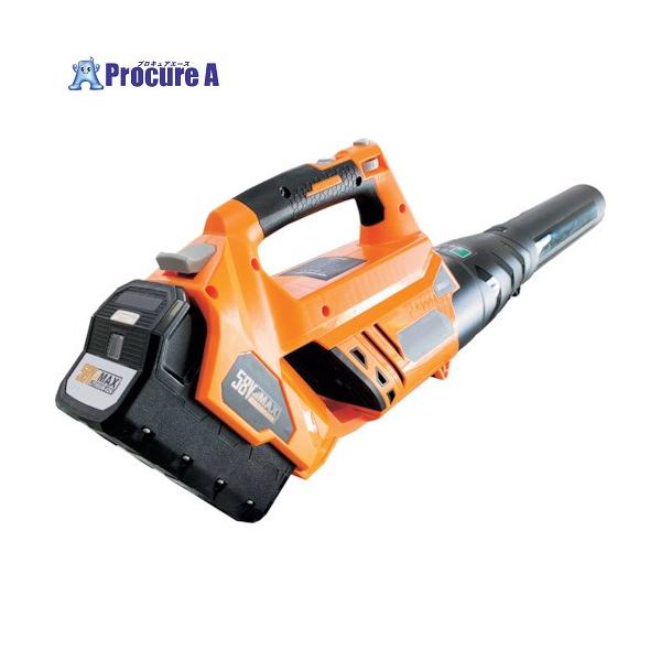 【送料都度見積】●最大風量(［［Ｍ３］］/min)：9●充電時間(時間)：60●電圧(V)：58●幅×奥行×高さ(mm)ブロワ：130×891×270