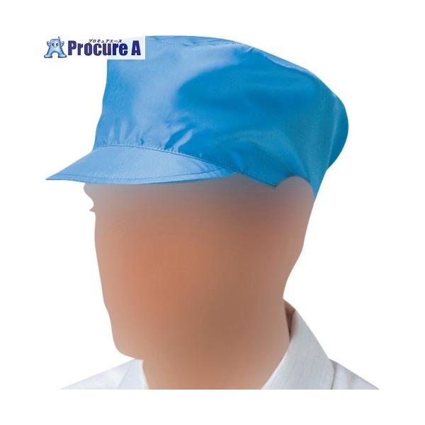 ※個人宅様送り不可 ●色：ブルー●サイズ：フリー