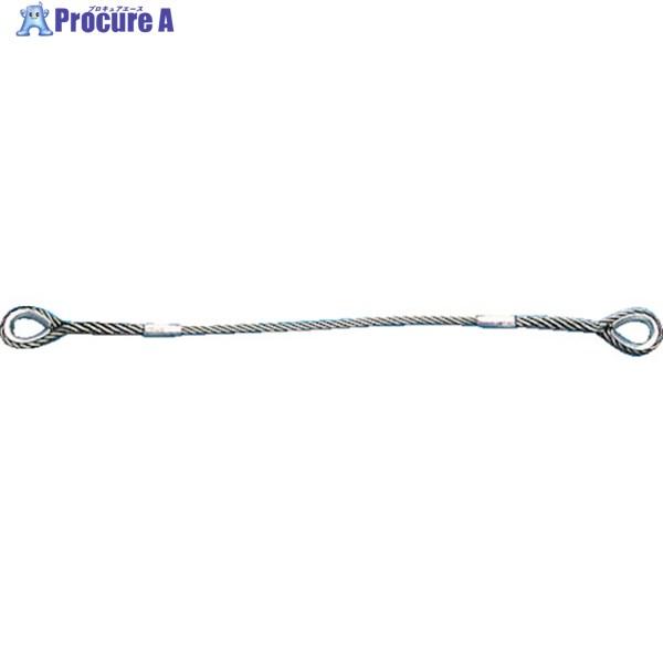 ●安全使用荷重2本垂直吊り(t)：1.35●全長(m)：2.5●スリング径(mm)：9●タイプ：E