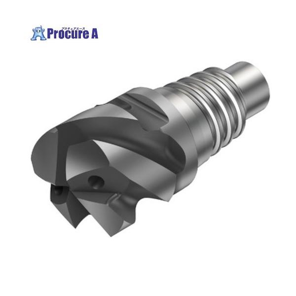 【送料都度見積】●切削径DC(mm)：15.875●切込角KAPR(°)：30.56