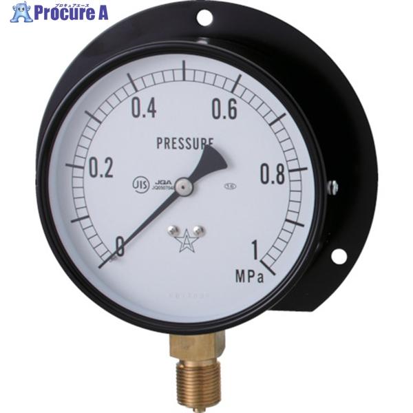 ●圧力レンジ(MPa)：0〜1.6●最小目盛(MPa)：0.05●呼称：BT3/8×100×1.6MPa●接続部サイズ：G3/8B●外径(mm)：100●精度：±1.6% FS●ケース形状：B●大きさ(mm)：100