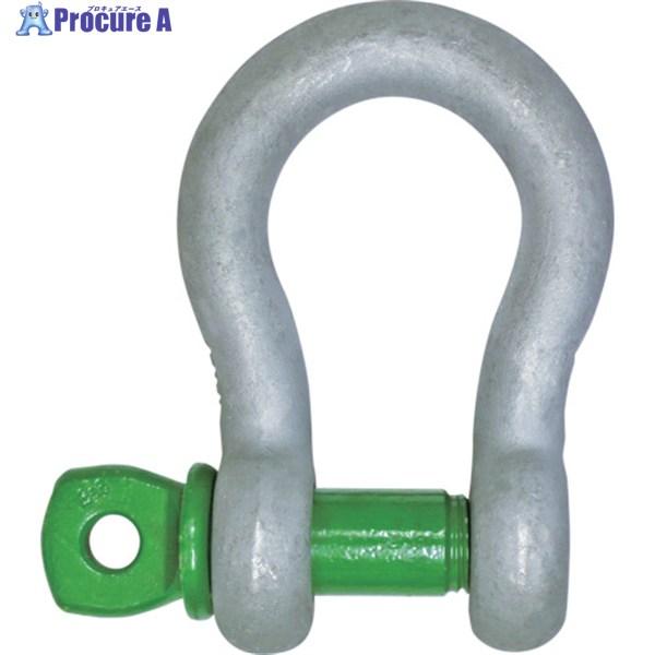 ●基本使用荷重(t)：1●タイプ：ねじ込みタイプ●寸法(mm)B：15●寸法(mm)t：10●寸法(mm)d3：11●寸法(mm)D：22●寸法(mm)L：42●寸法(mm)d1：10●寸法(mm)B1：26