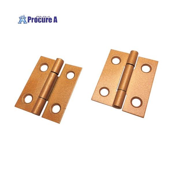 【代引決済不可】【送料都度見積】  ●全長(mm)：25●幅(mm)：21●ねじ穴数：4●規格(mm)：25