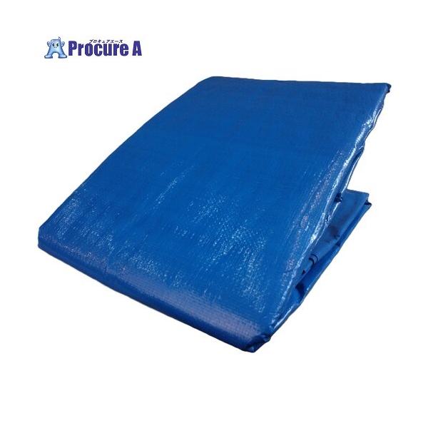 ●幅(m)：2.57●長さ(m)：2.57●厚さ(mm)：0.22●番手(#)：3000●ハトメ数(個)：12●ハトメピッチ(cm)：90●耐久期間：約6カ月〜1年●引張強度：縦520N/5cm、横440N/5cm●引裂強度：縦150N、横...