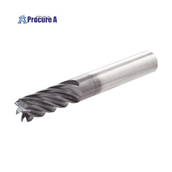 【送料都度見積】