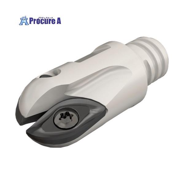 【送料都度見積】●刃数CICT(枚)：2●切削径DC(mm)：20●機能長さLF(mm)：35●全長OAL(mm)：48.80●最大切込みAPMX(mm)：17●適合チップ：BCR D200-QT