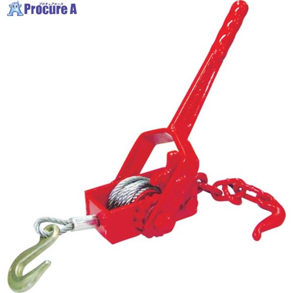 ●最大使用荷重(t)：1.0●ワイヤー径(mm)：8●寸法(mm)A：390●寸法(mm)B：305●寸法(mm)C：560〜1600●寸法(mm)D：19●適合取替ワイヤ：NT-1000●ワイヤ長(m)：1.5●ワイヤ長さ(m)：1.5