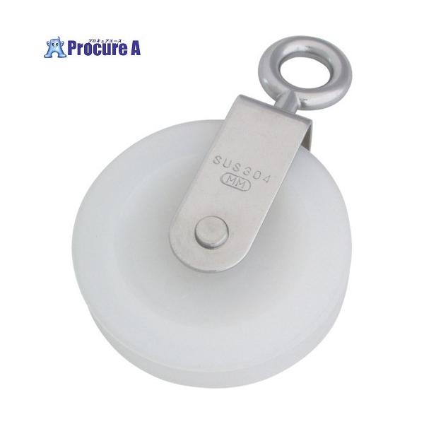 ●基本使用荷重(t)：0.02●最大使用ロープ径(mm)：9●車数：1●車径(mm)：66●車溝幅(mm)：9●寸法(mm)A：108●寸法(mm)B：66●寸法(mm)C：19●使用荷重(kg)：20●穴径 d(mm)：14