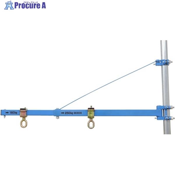 ●定格荷重(t)：0.16(1m)、0.25(0.7m)●アーム長さ(m)：1.1●全高(mm)：650●全長(mm)：1100●旋回角度(°)：180●適合パイプ径(mm)：48.6