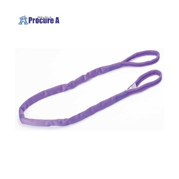 ●最大使用荷重(t)：1●全長(m)：1●ベルト寸法(mm)幅×厚さ：40×10●表面布カラー：紫●両端形状：アイ形