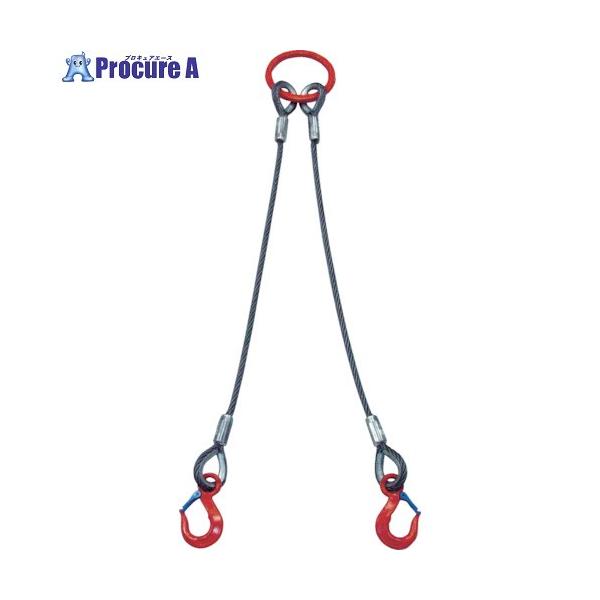 ●全長(m)：0.5●タイプ：2本吊り●安全使用荷重2本吊り(t)：0.5