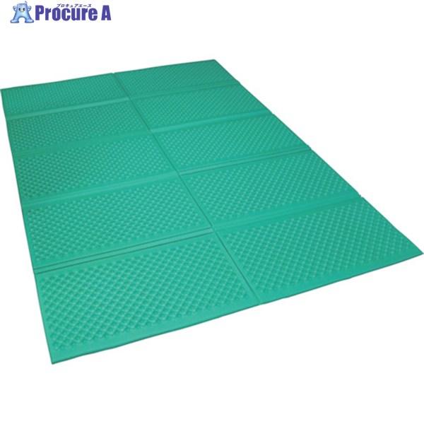 ●色：グリーン●サイズ長辺(mm)：2000●サイズ短辺(mm)：1400●厚さ(mm)：8●タイプ：ダブル●間口(mm)：1400●奥行(mm)：2000