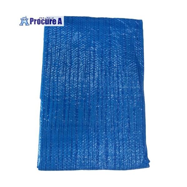 ●幅(m)：1.7●長さ(m)：1.7●厚さ(mm)：0.1●ハトメ数(個)：8●ハトメピッチ(cm)：90●耐久期間：約1ヵ月未満●引張強度：縦335N/5cm、横300N/5cm●色：ブルー