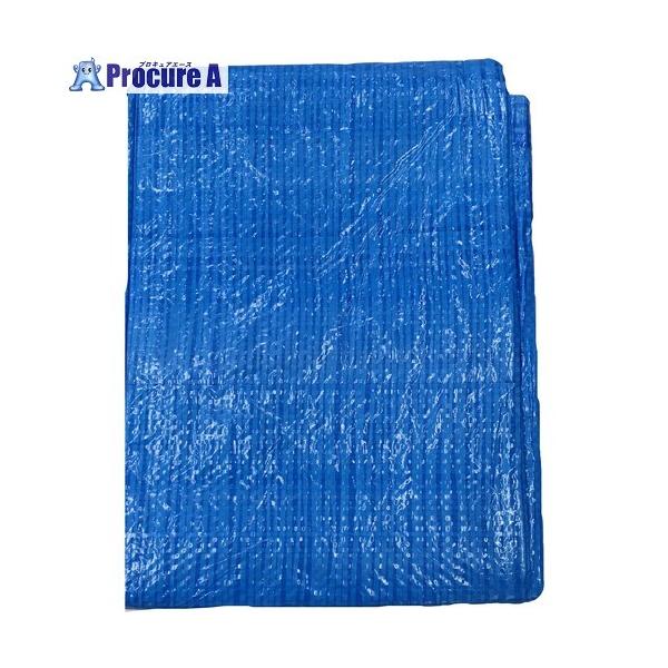 ●幅(m)：1.7●長さ(m)：2.5●厚さ(mm)：0.1●ハトメ数(個)：10●ハトメピッチ(cm)：90●耐久期間：約1ヵ月未満●引張強度：縦335N/5cm、横300N/5cm●色：ブルー