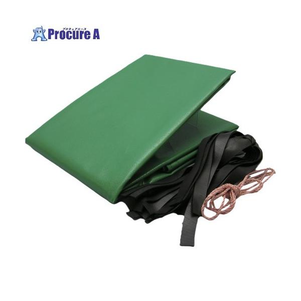 ●色：グリーン●幅(m)：1.7●長さ(m)：2.1●厚さ(mm)：0.56●ハトメ数(個)：15●ハトメピッチ(cm)：57×51●耐久期間：約4〜5年●引張強度：縦2415N/5cm、横1970N/5cm●適合車種：軽トラック(平張)●...