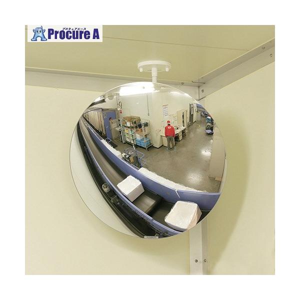 ●幅(mm)：440●高さ(mm)：440●像大きさ(曲面R)：600●取付方法：金網用金具●形状：丸型●アーム長さ(mm)：250●取付場所：金網