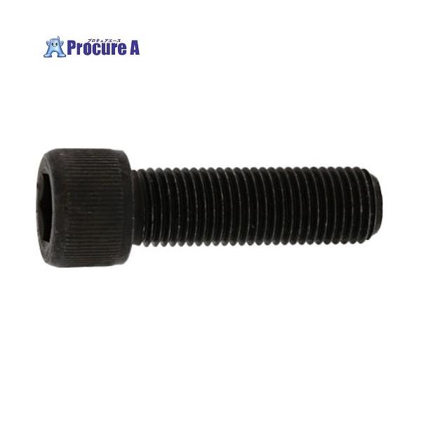 【送料都度見積】●ねじ径(mm)(#)：10●ねじ長さ(mm)：3/16