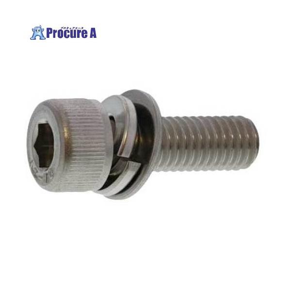 【送料都度見積】●寸法(mm)d：M6●寸法(mm)L：10●ねじ長さ(mm)：10