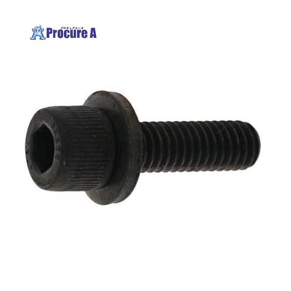 【送料都度見積】●寸法(mm)d：M6●寸法(mm)L：10●ねじ長さ(mm)：10