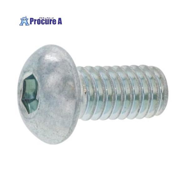 【送料都度見積】●ねじ径(mm)：M2●ねじ長さ(mm)：3