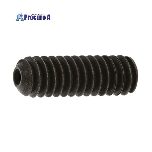 【送料都度見積】●ねじ径(mm)(#)：4●ねじ長さ(mm)：1/2