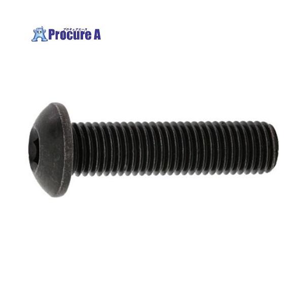 【送料都度見積】●ねじ径(mm)：1/4●ねじ長さ(mm)：1 1/4