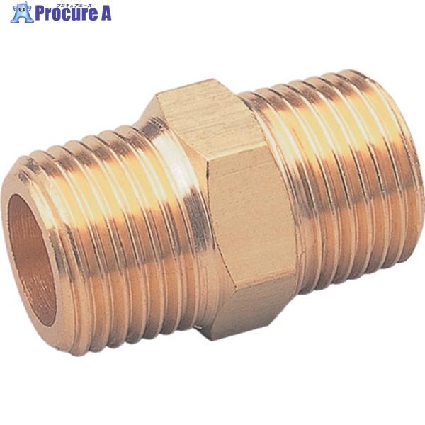 ●接続口径D：R1/8●六角対辺(mm)：12●使用流体：水・空気・油●タイプ：六角ニップル●最高使用圧力(MPa)：6.90●寸法(mm)A：22●寸法(mm)B：12