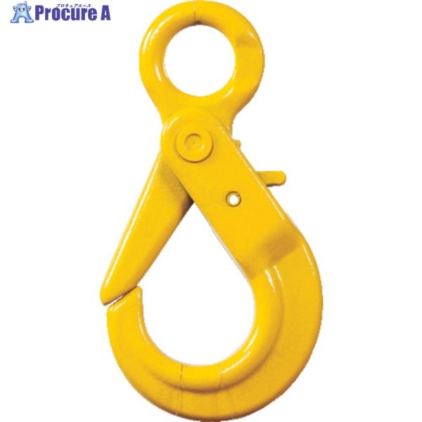 ●基本使用荷重(t)：1●適合チェーン線径(mm)：6.3●寸法(mm)M：29.5●寸法(mm)P：113●寸法(mm)a：25●寸法(mm)b：10●寸法(mm)m：29.5●寸法(mm)n：35●寸法(mm)p：113●寸法(mm)s...