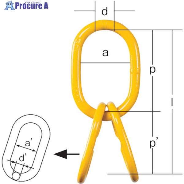 ●基本使用荷重(t)：2.5●適合チェーン線径(mm)：6.3●寸法(mm)d：20●寸法(mm)l：280●寸法(mm)p：160●破断荷重(kN)：125●寸法(mm)p’：120●寸法(mm) a：95●寸法(mm)a'：70●寸法(...
