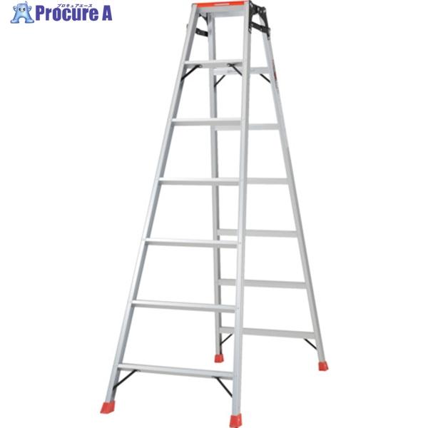 ※車上渡し ●最大使用質量(kg)：100●天板高さ(m)：1.98●はしご全長(m)：4.16●天板寸法(mm)：300×247●踏ざん踏面幅(mm)：55●Aマーク：〇●SGマーク：〇