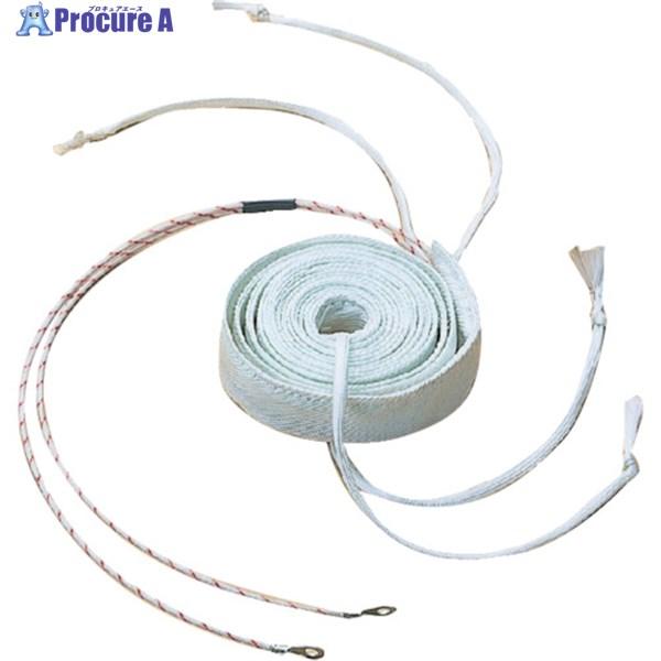 ●電源(V)：100●容量(W)：300●幅(mm)：20●長さ(m)：3●使用温度範囲(℃)：0〜300●サーモスタット：なし