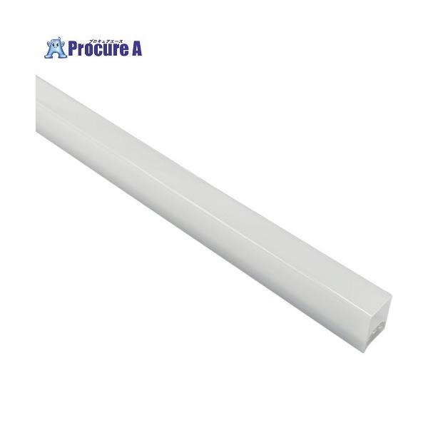 ●幅(mm)：17●高さ(mm)：21●長さ(mm)：980●全長(mm)：980●色：乳白色●タイプ：ドットレスカバー●カラー：ホワイト