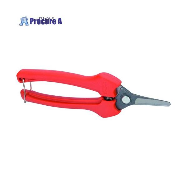 【送料都度見積】