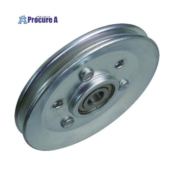 ●基本使用荷重(t)：0.08●内径(mm)：10●外径(mm)：90●幅(mm)：11●溝径(mm)：79.0●使用荷重(kg)：80