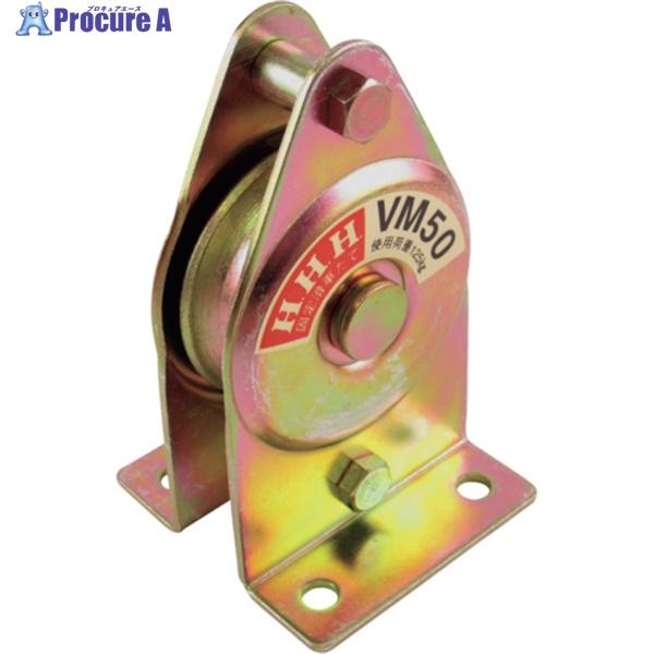 ●基本使用荷重(t)：0.125●最大使用ロープ径(mm)：8●車数：1●車径(mm)：50●寸法(mm)A：100●寸法(mm)B：58●寸法(mm)C：62●使用荷重(kg)：125●シーブ軸受：メタル